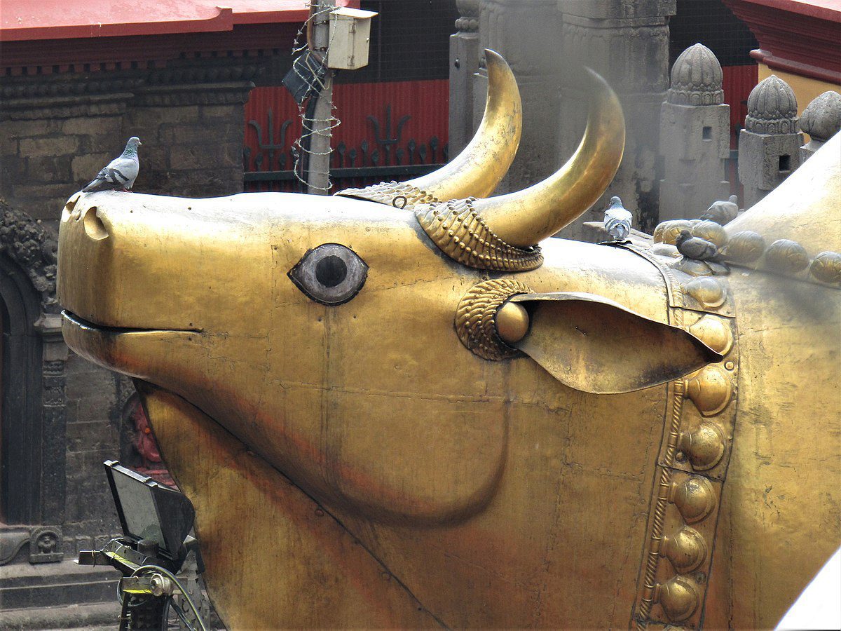 About Nandi The Bull: Lord Shiva Vehicle - Mythlok