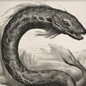 Aboriginal Mythology - Mythlok