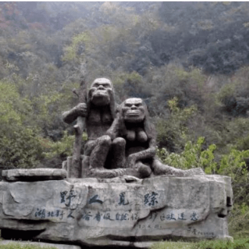 Yeren: China’s Wild Man Legend Hidden in the Shennongjia Forest | Mythlok