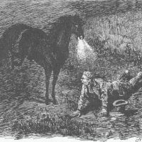 Puca : The Shapeshifting Spirit of Irish Folklore - Mythlok