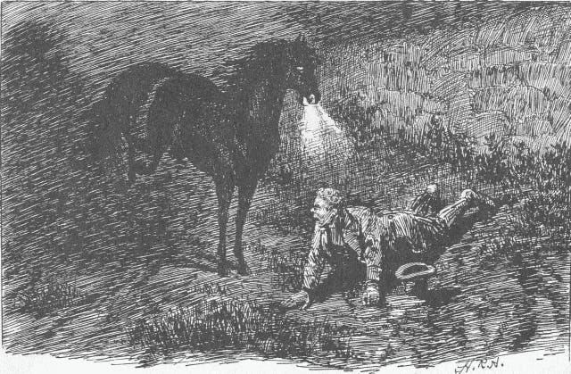 Puca : The Shapeshifting Spirit of Irish Folklore - Mythlok